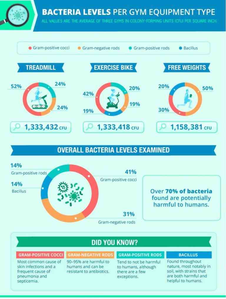 TYPES OF BACTERIA AND GERMS FOUND IN FITNESS CENTERS - Saniservice Blog