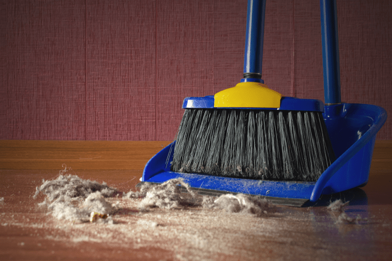 MICROBIAL ECOLOGIES IN TYPICAL HOUSEHOLD DUST - Saniservice Blog