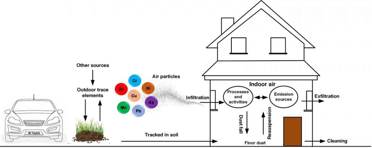 MICROBIAL ECOLOGIES IN TYPICAL HOUSEHOLD DUST - Saniservice Blog