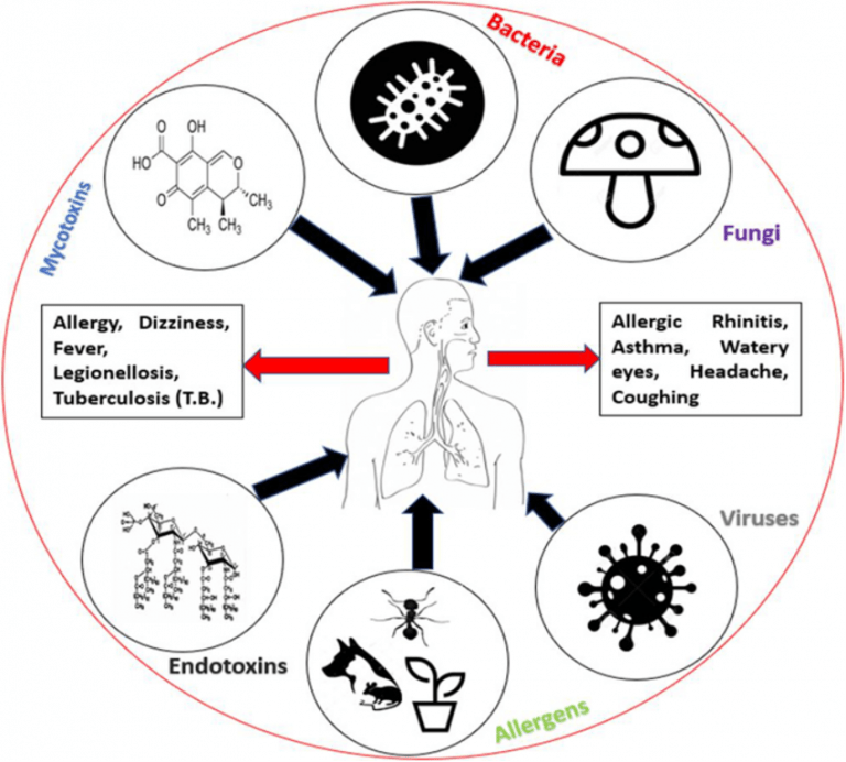 MICROBIAL ECOLOGIES IN TYPICAL HOUSEHOLD DUST - Saniservice Blog